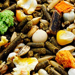 Garvo .:. Graankorrel.nl .:. Uw diervoeder en dieraccessiores specialist